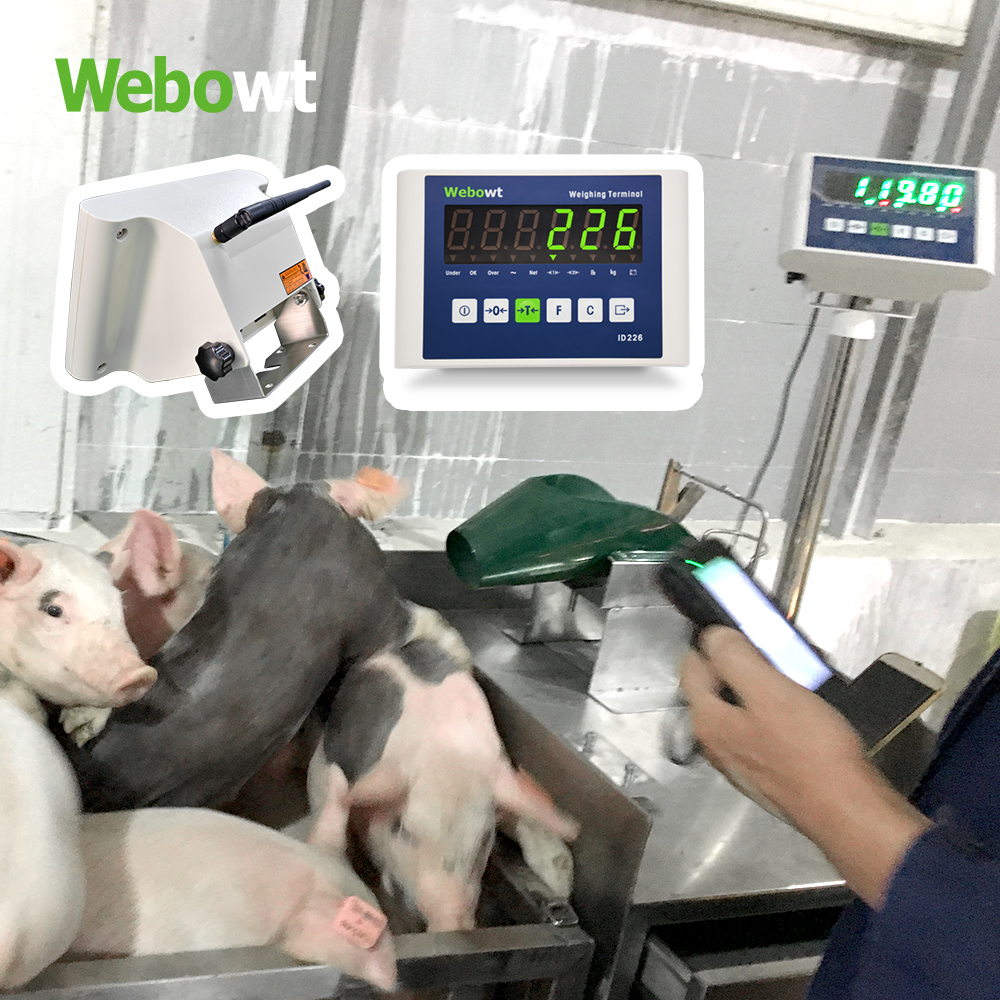 From Piglets Birth Weight to Breeding Pigs Management System ...