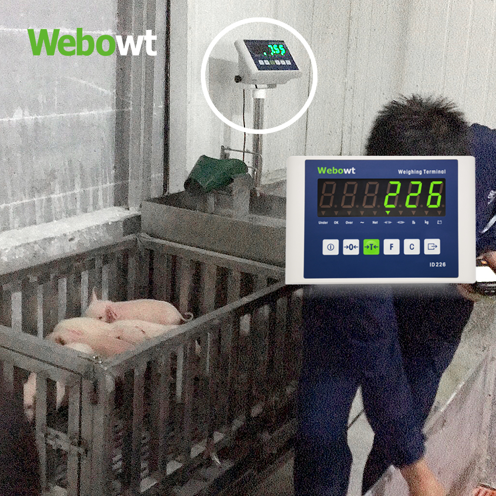 From Piglets Birth Weight to Breeding Pigs Management System ...