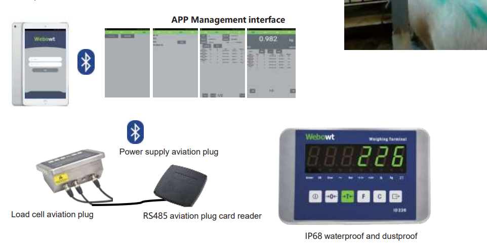 Livestock Dynamic Weighing Scale - Changzhou Weibo Weighing Equipment ...